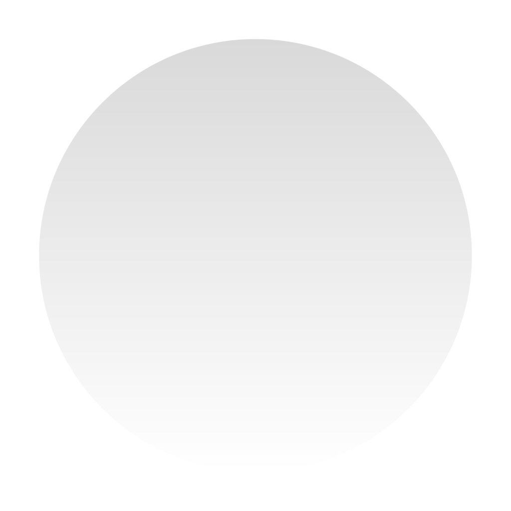 Schlemmer 7006080 BLIND DISC BS 36